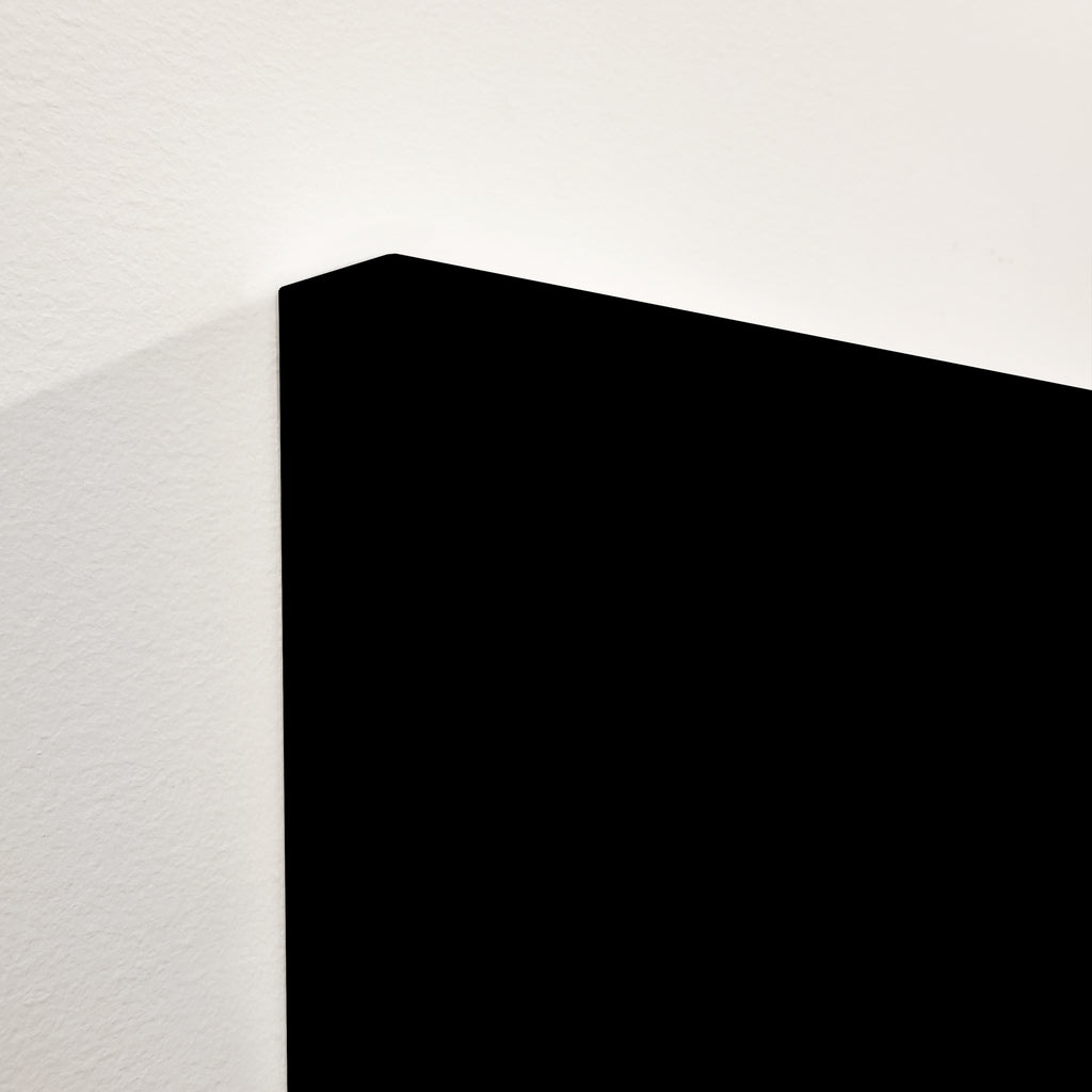 Double Trouble by Mitchell Bloch | stretched canvas wall art | STAG & MANOR