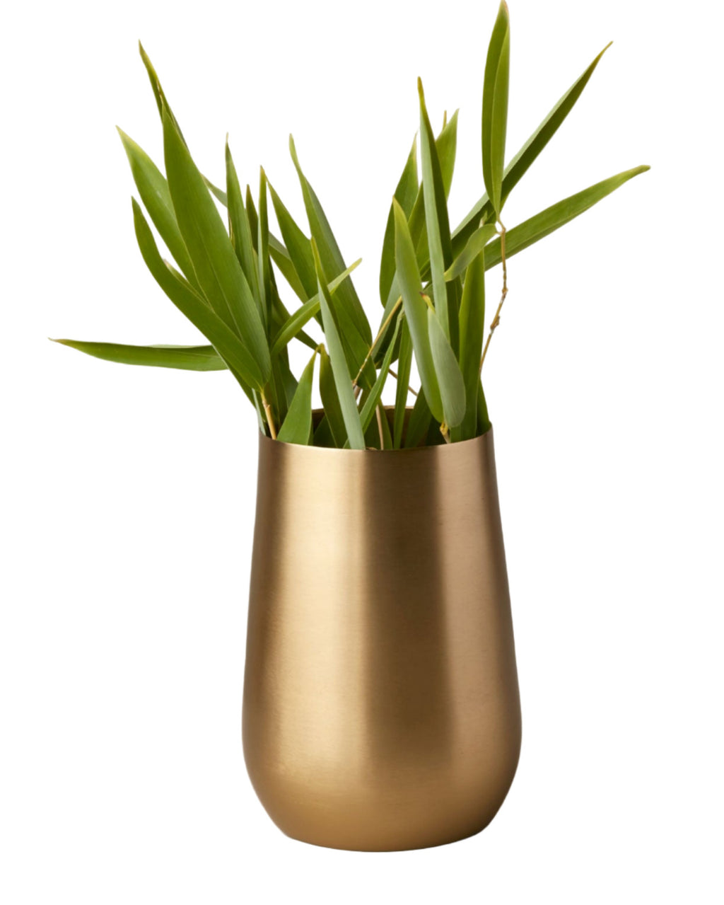 SATIN GOLD/BRASS VASE | VASES | STAG & MANOR