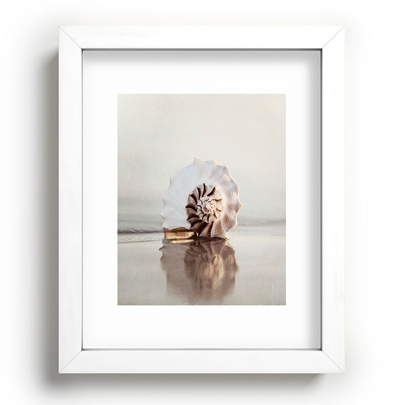 Seashell Recessed Framing Rectangle | STAG & MANOR